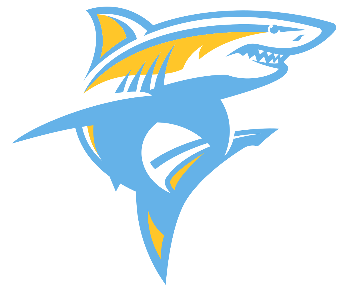 Sharks Make History: LIU Women’s Water Polo Wins First Home Match