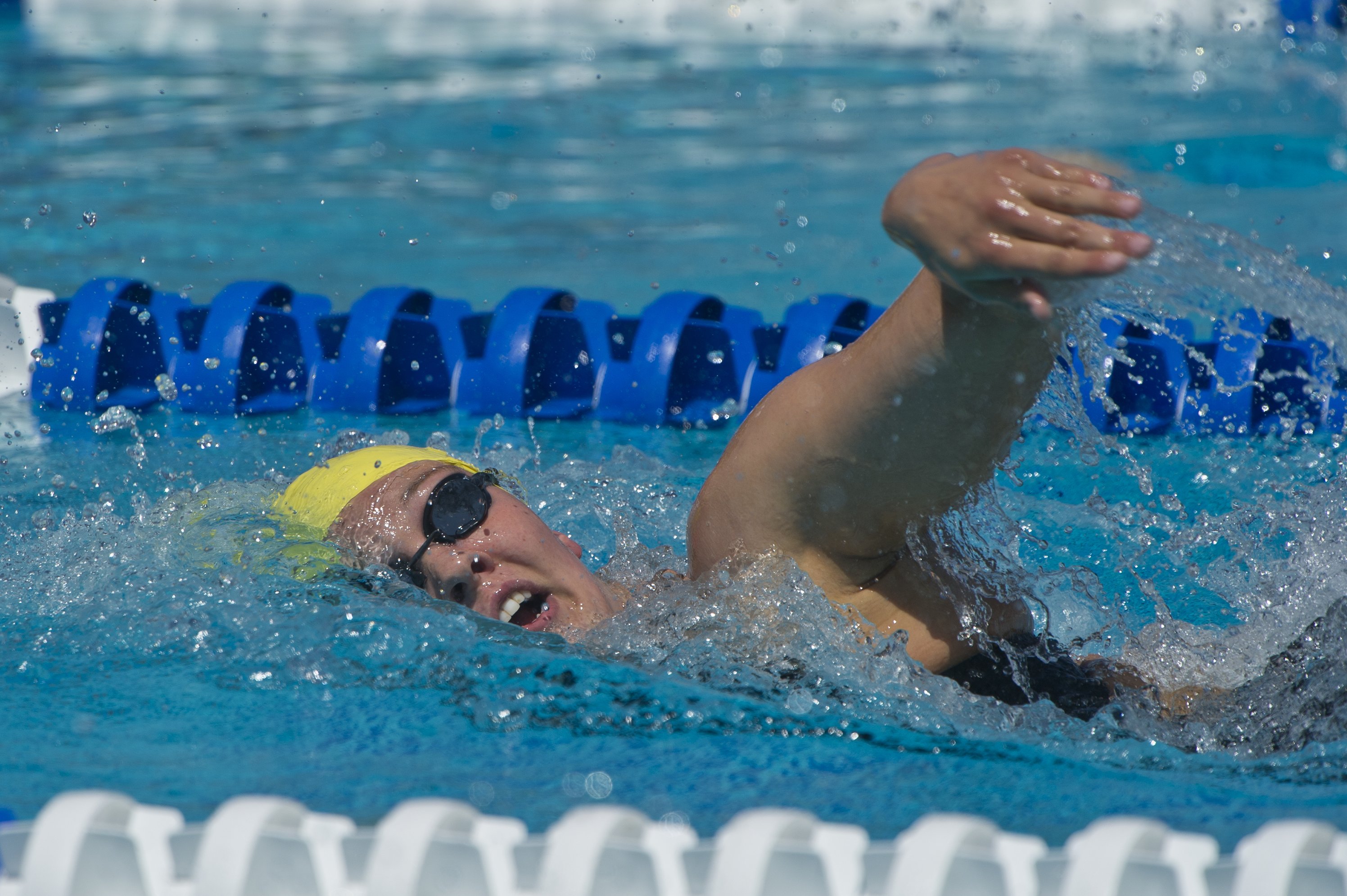 Chloe Sutton Career Retrospective (Photo and Video Gallery)