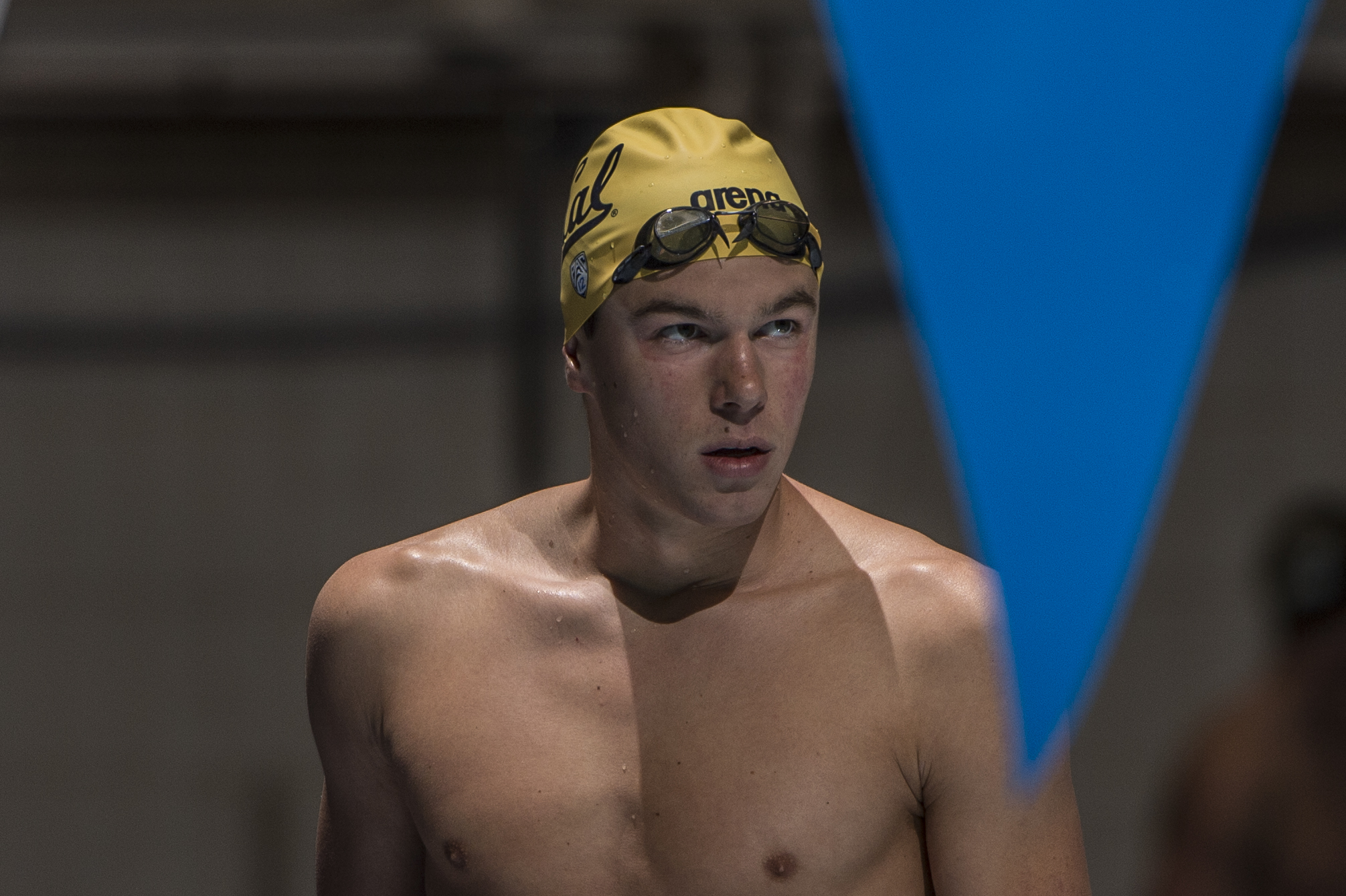 Josh Prenot Lands Pac 12 Swimmer of the Month