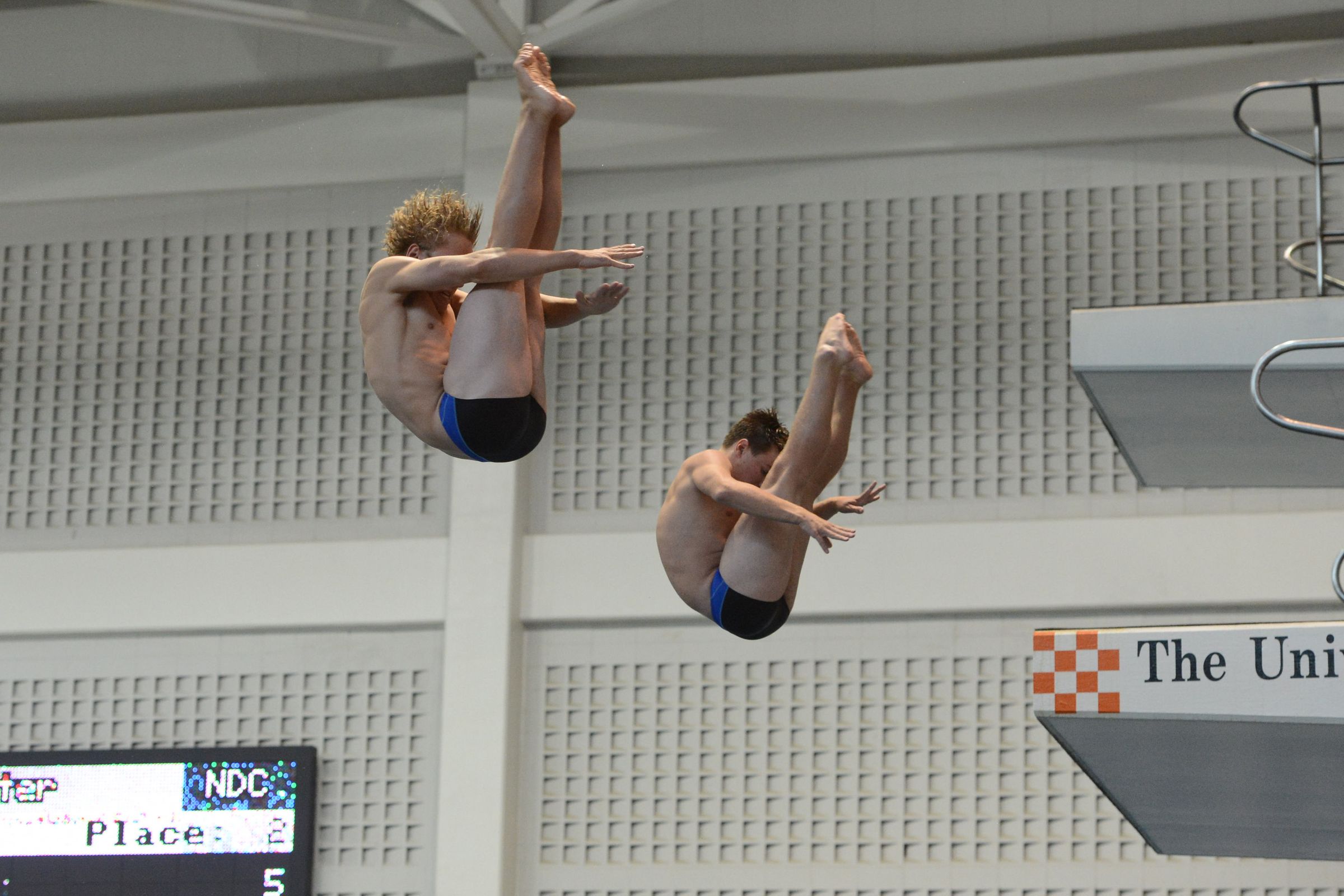 Photo Gallery: USA Diving Junior Nationals - Swimming World News