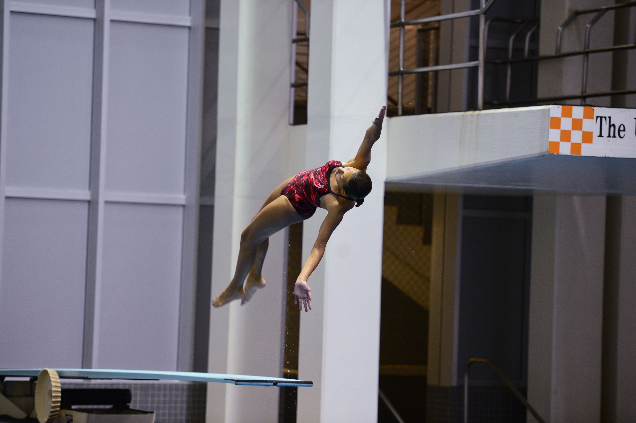 Photo Gallery: USA Diving Junior National Championships - Swimming ...
