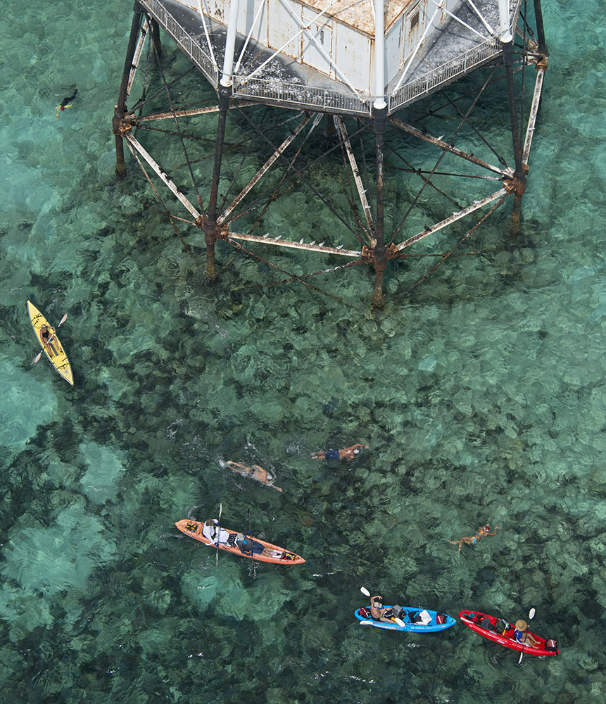 Swim for Alligator Lighthouse Has a Successful Second Showing ...